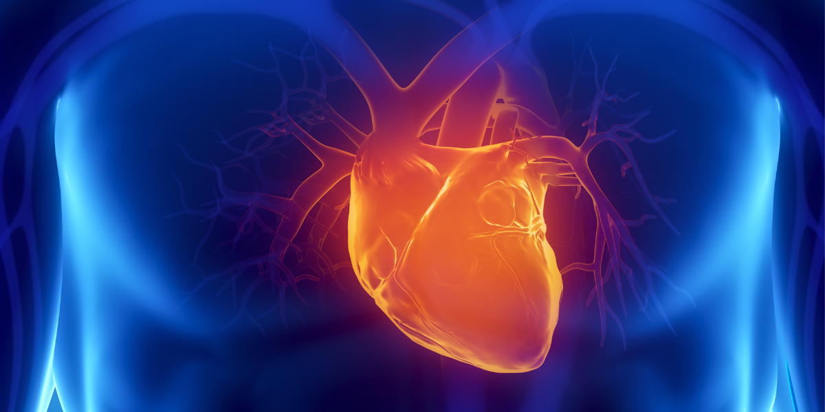 How Cardiac Resynchronization Therapy Works To Improve Heart Function ...